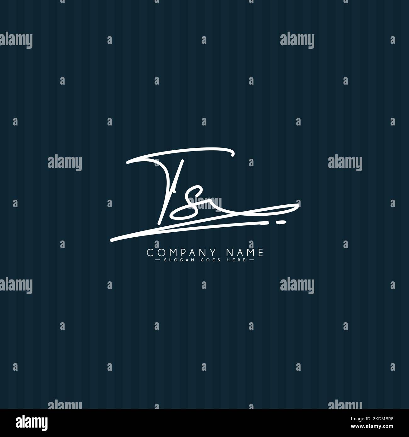 TS Handwritten Signature logo - Vector Logo Template for Beauty ...