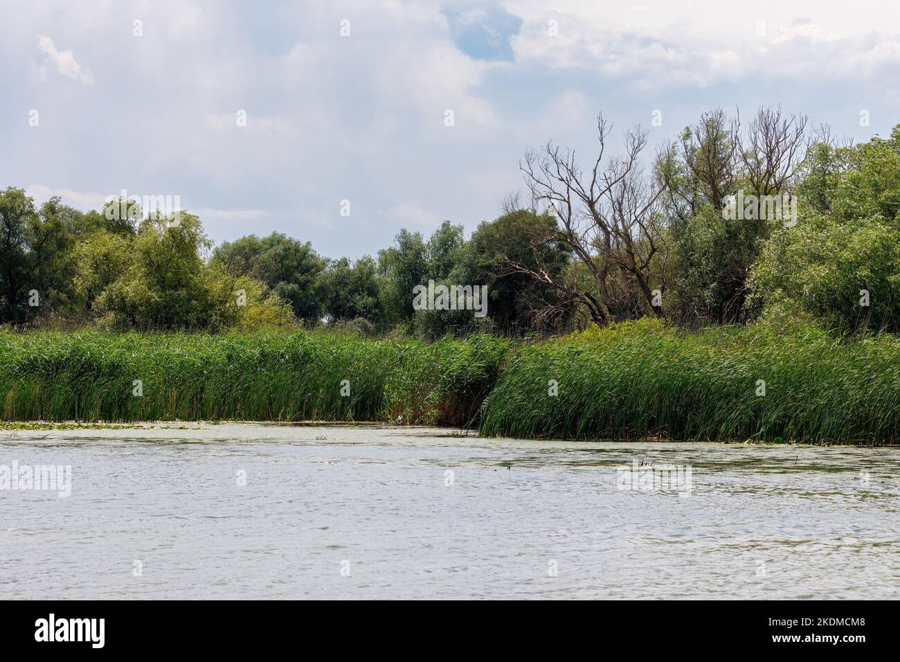 The swamps and wilderness of the Danube Delta in Romania Stock Photo ...