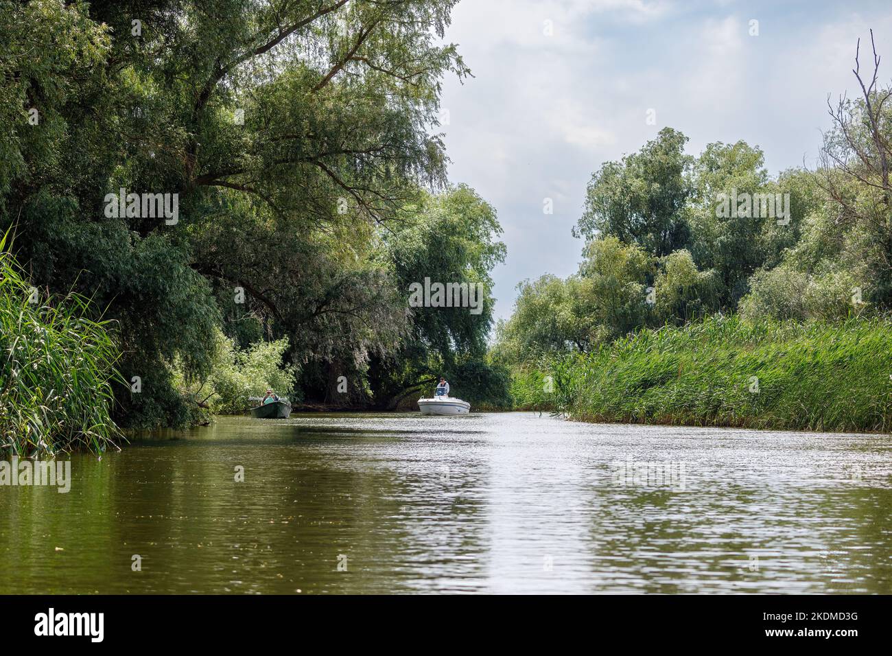 The swamps and wilderness of the Danube Delta in Romania Stock Photo ...