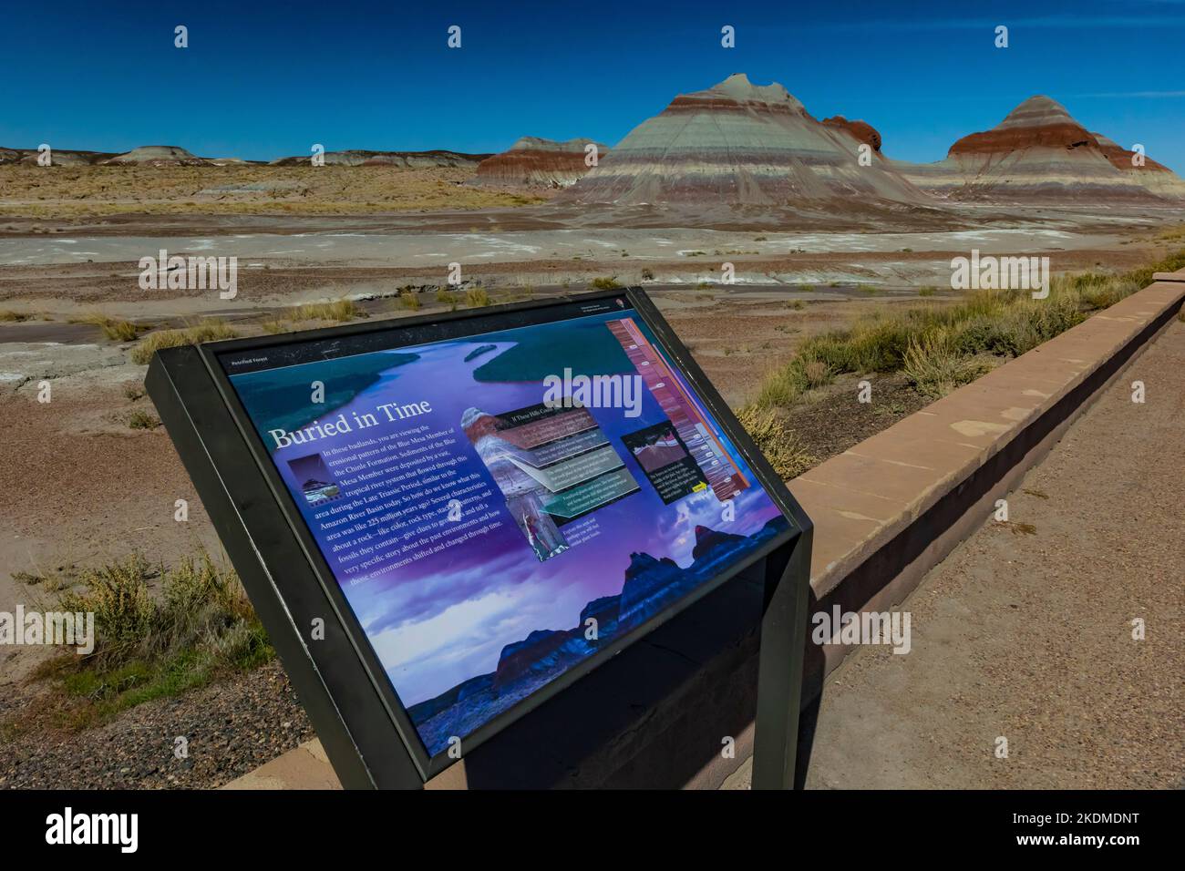 Interpretatlon hi-res stock photography and images - Alamy