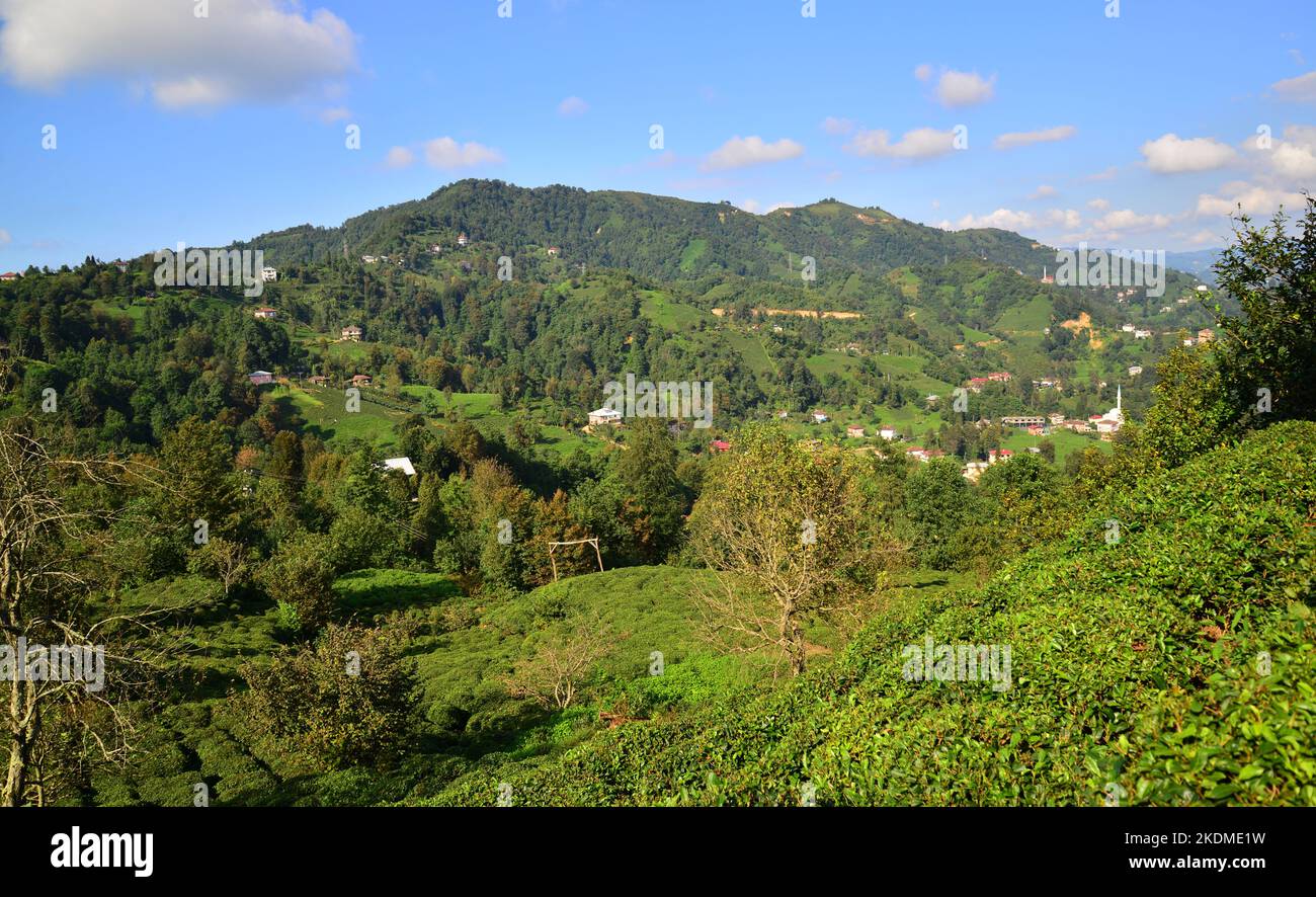 Yenihisar Village in Rize, Turkey, is connected to the town of Cayeli ...