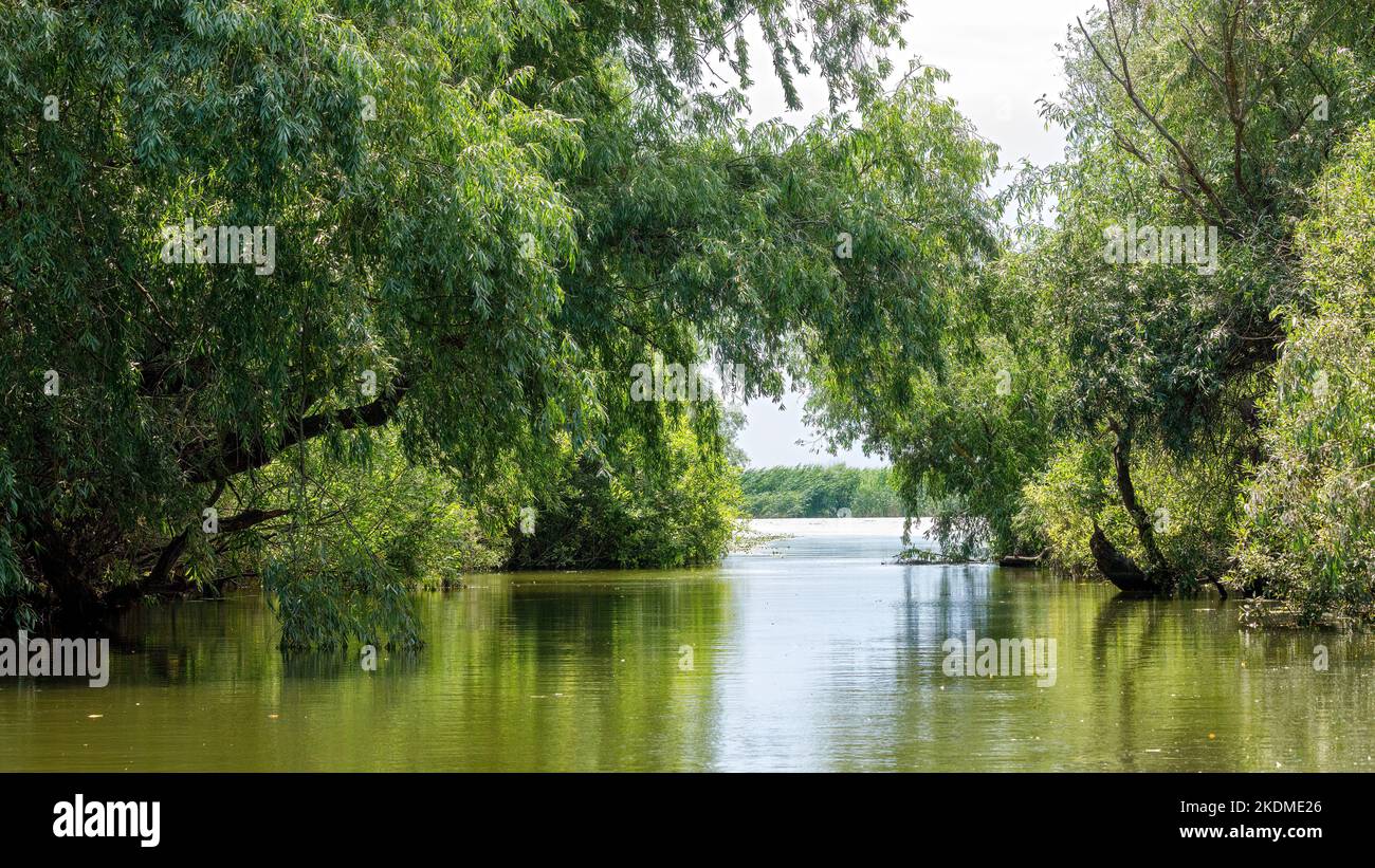 The swamps and wilderness of the Danube Delta in Romania Stock Photo ...