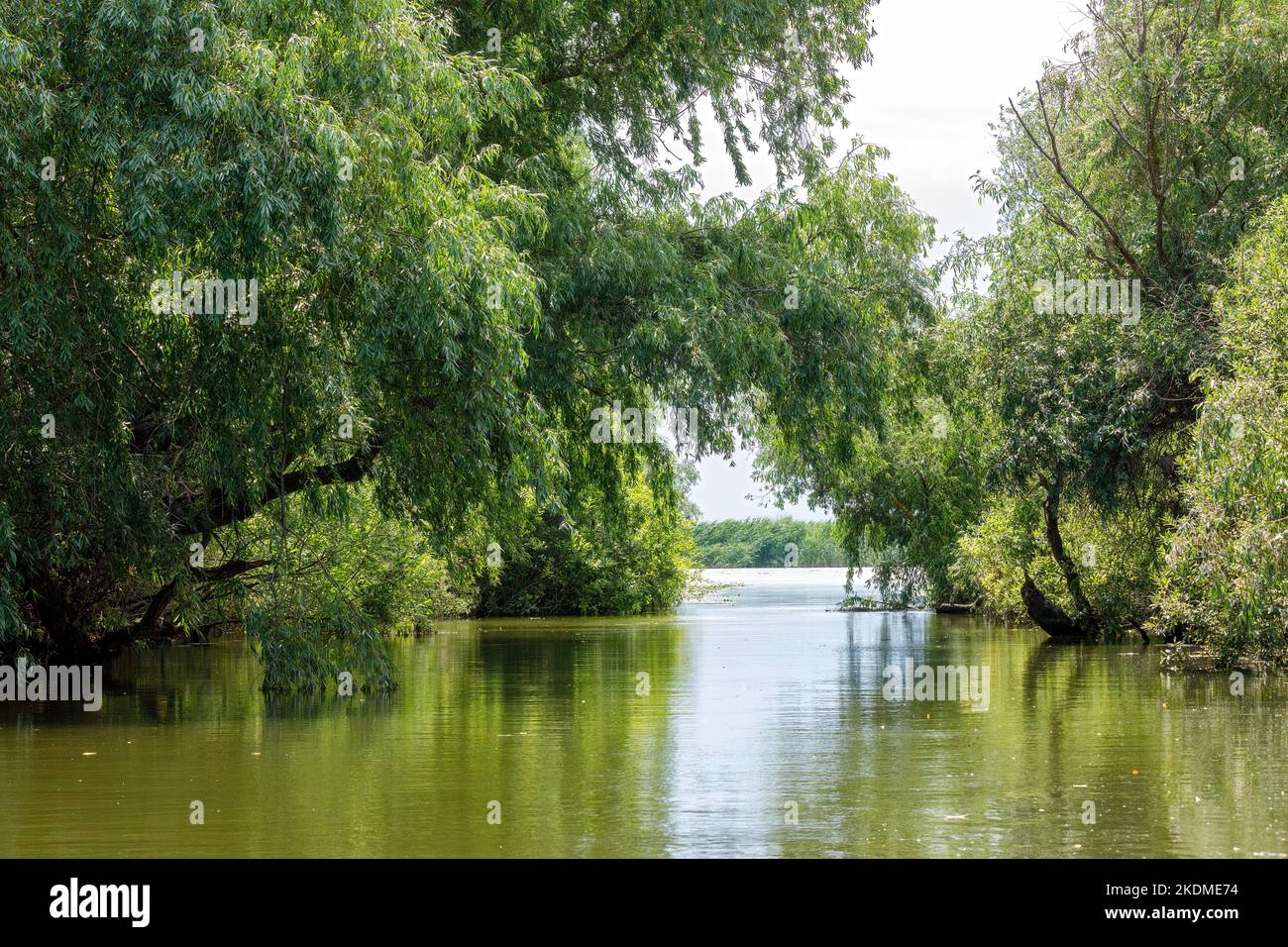 The swamps and wilderness of the Danube Delta in Romania Stock Photo ...