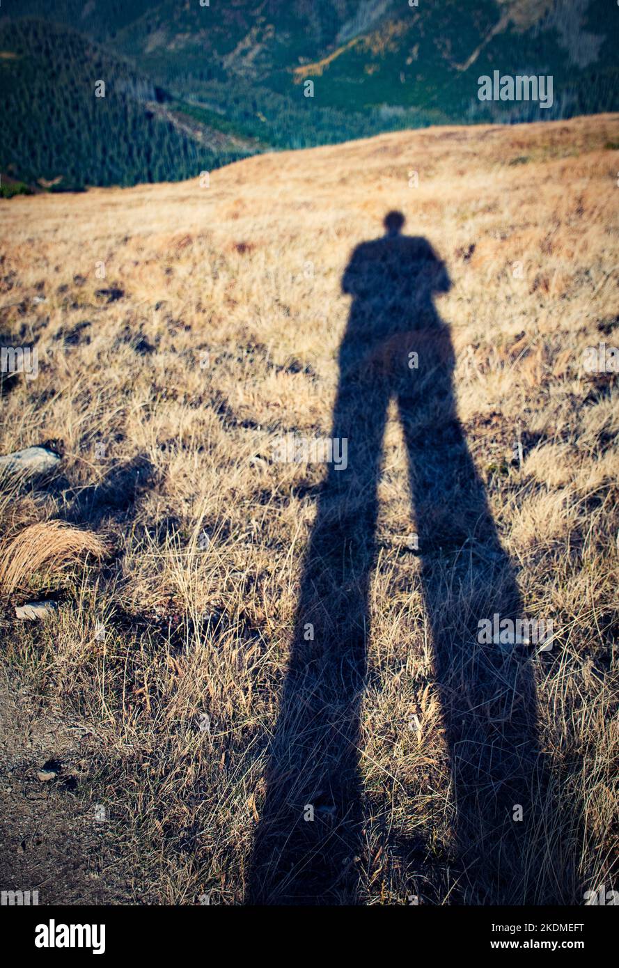 abstract background the long shadow of a figure on the grass Stock ...