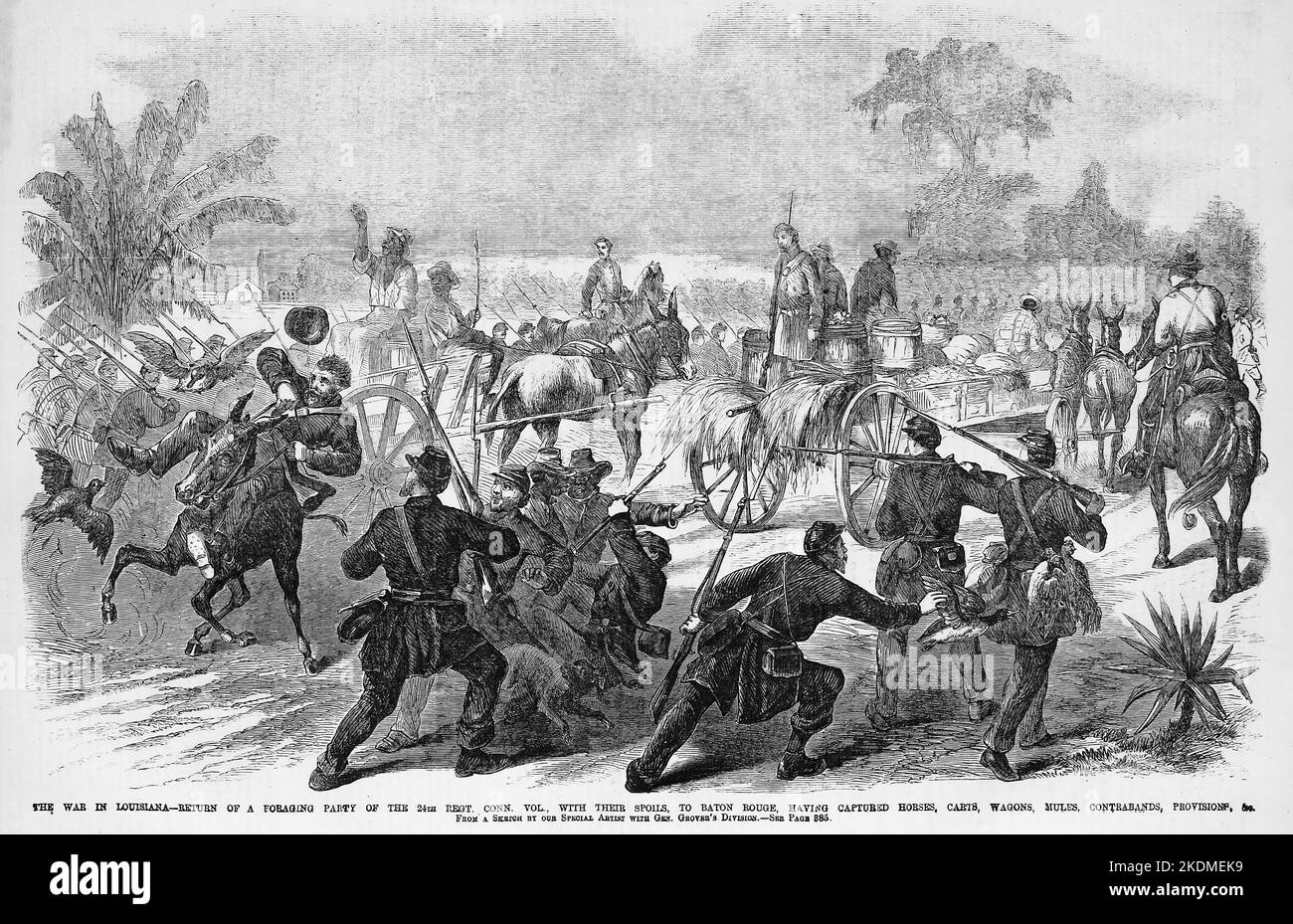 The War in Louisiana - Return of a foraging party of the 24th Regiment ...