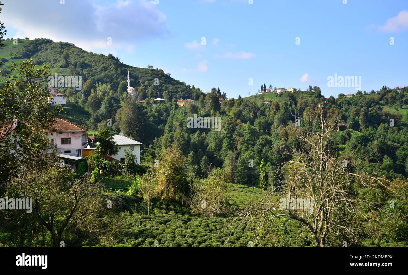 Yenihisar Village in Rize, Turkey, is connected to the town of Cayeli ...