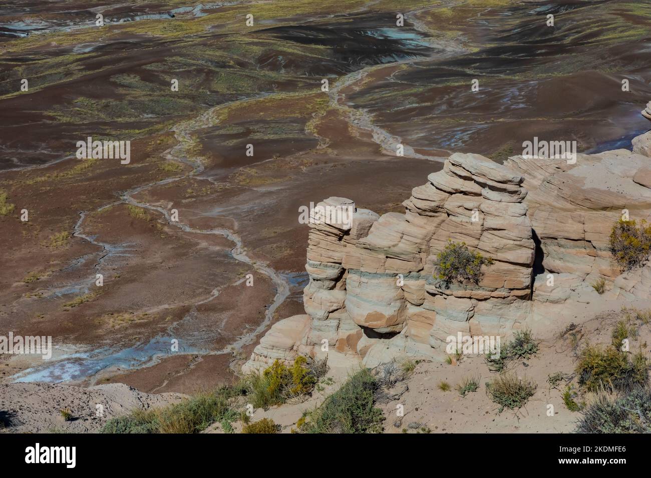 View of badlands from Blue Mesa overlook in Petrified Forest National ...