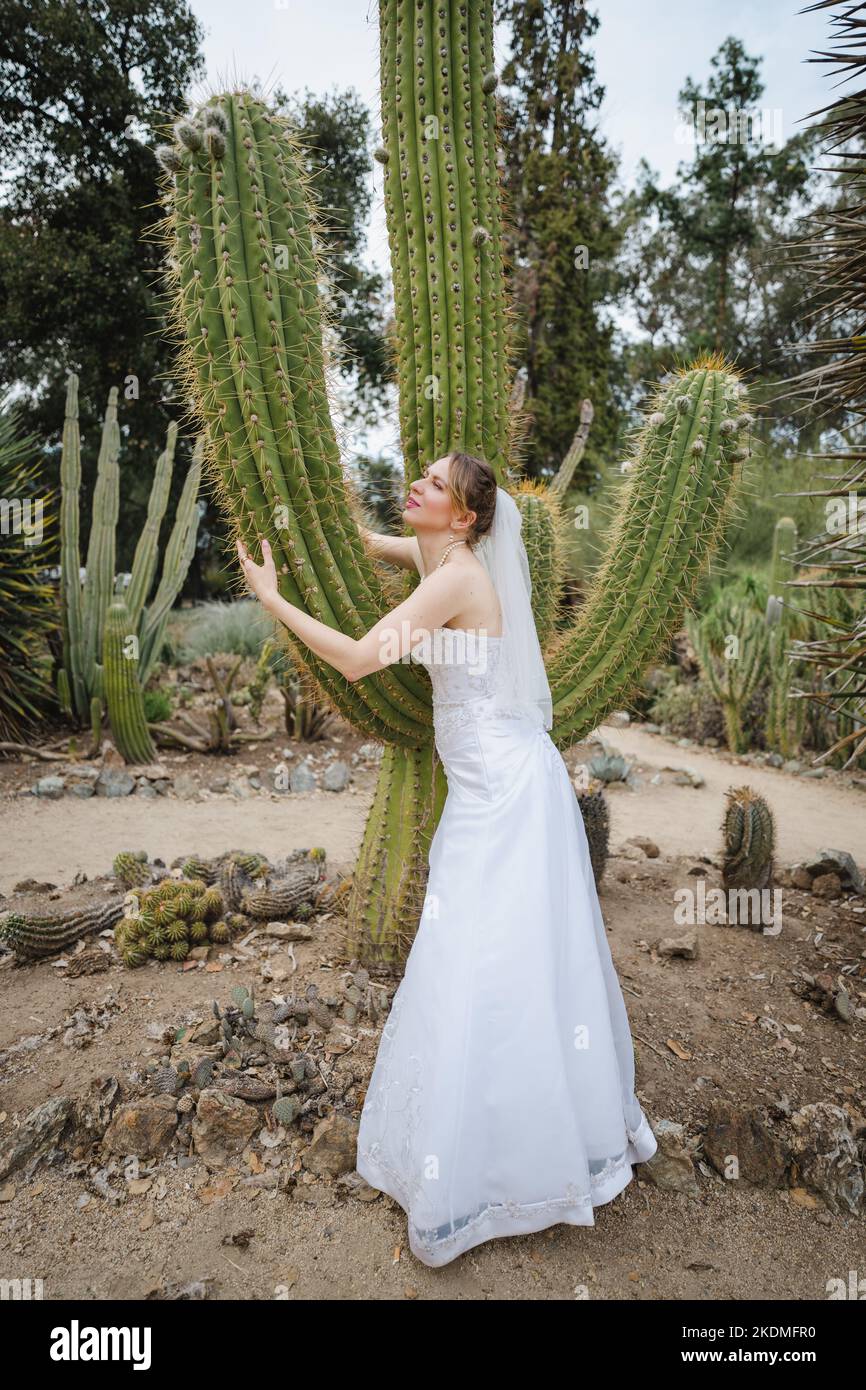 Hugging saguaro hi-res stock photography and images - Alamy