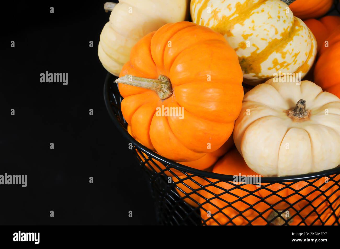 Mini Pumpkins in Black Wire Basket Stock Photo - Alamy