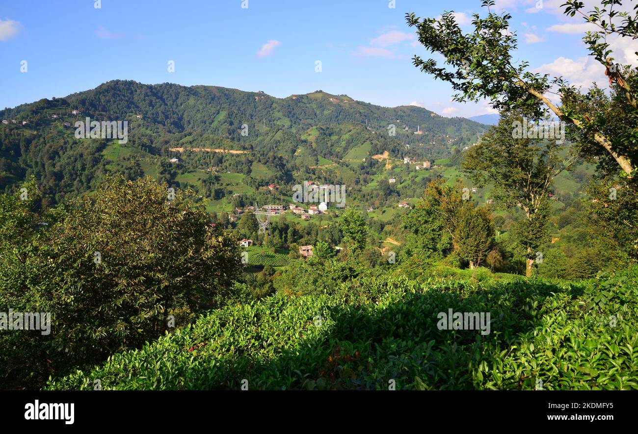 Yenihisar Village in Rize, Turkey, is connected to the town of Cayeli ...