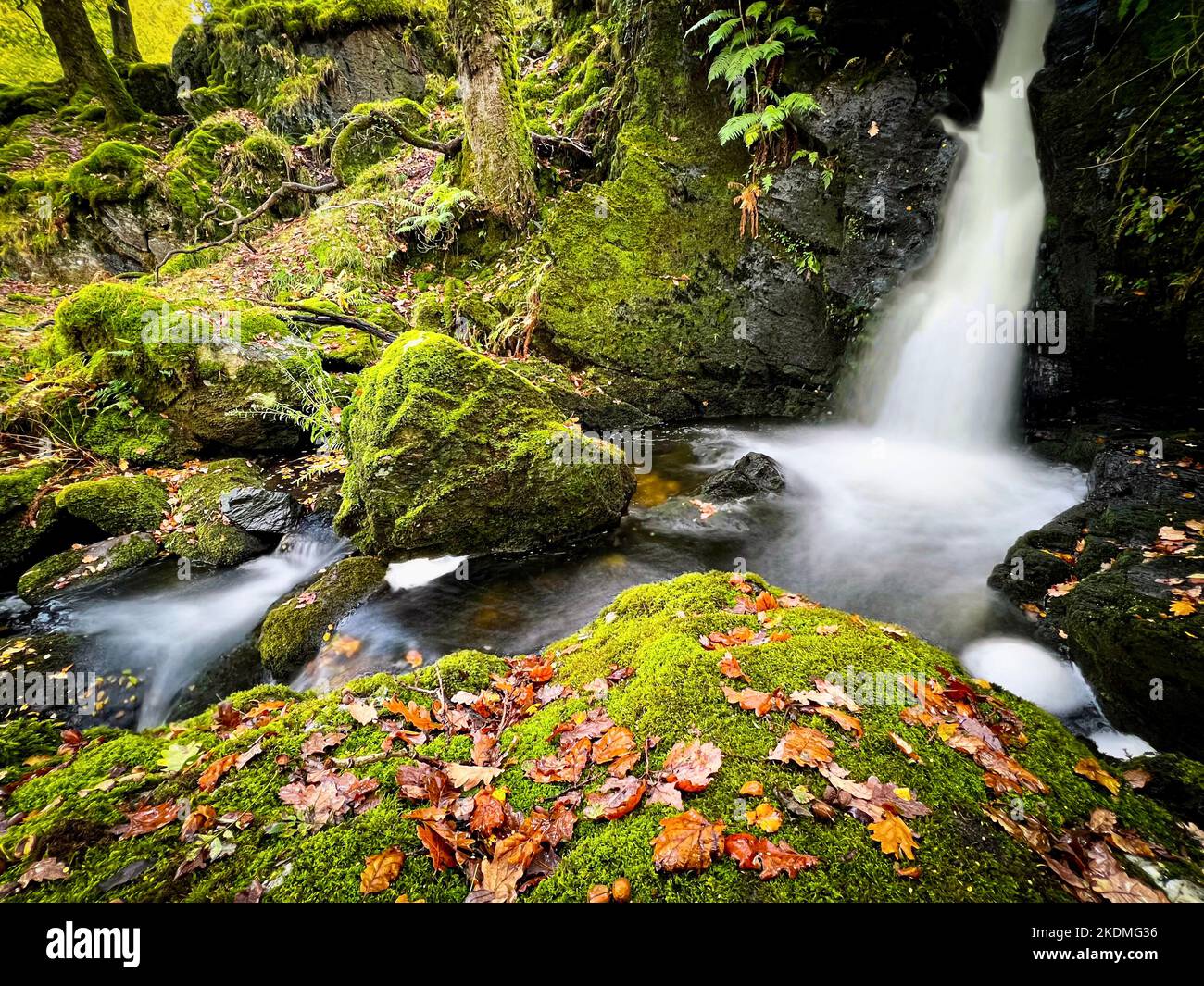 dolwyddelan waterfall snowdonia, north wales Stock Photo - Alamy