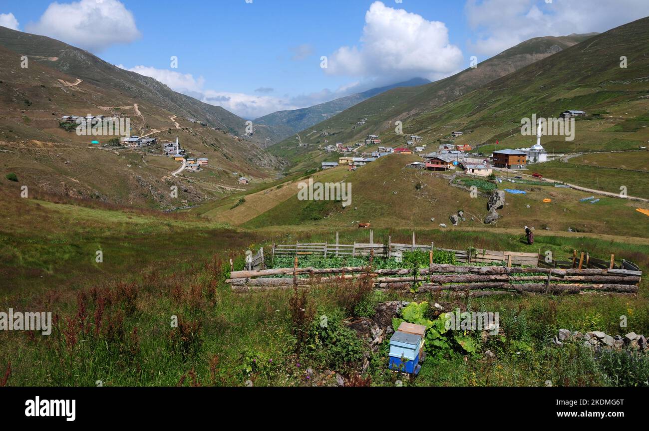 Anzer Plateau, located in Rize, Turkey, is an important local plateau ...