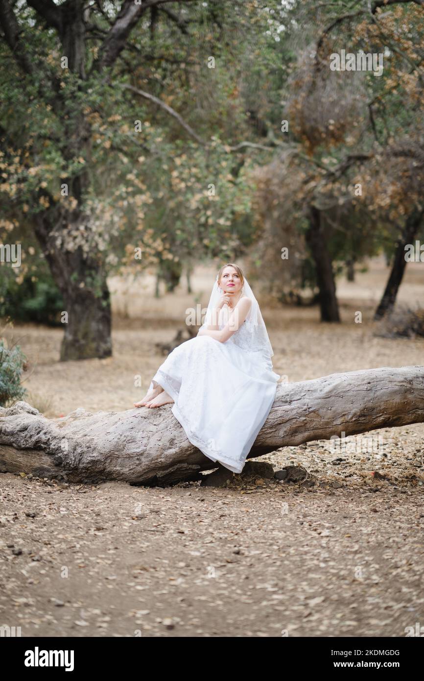 Bride Seated on Large Fallen Tree in Grove of California Oak Trees ...