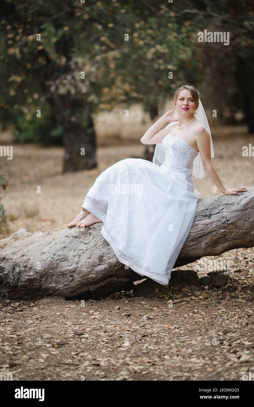 Bride Seated on Large Fallen Tree in Grove of California Oak Trees ...