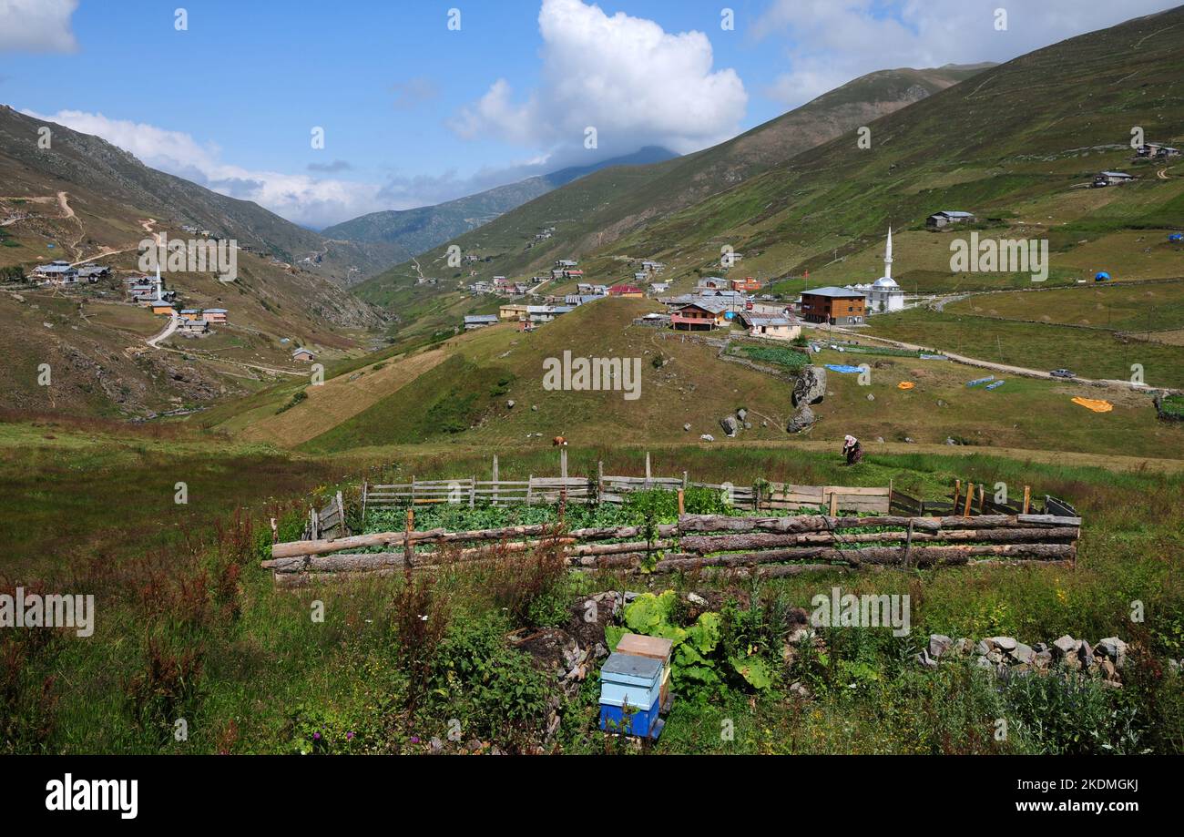 Anzer Plateau, located in Rize, Turkey, is an important local plateau ...