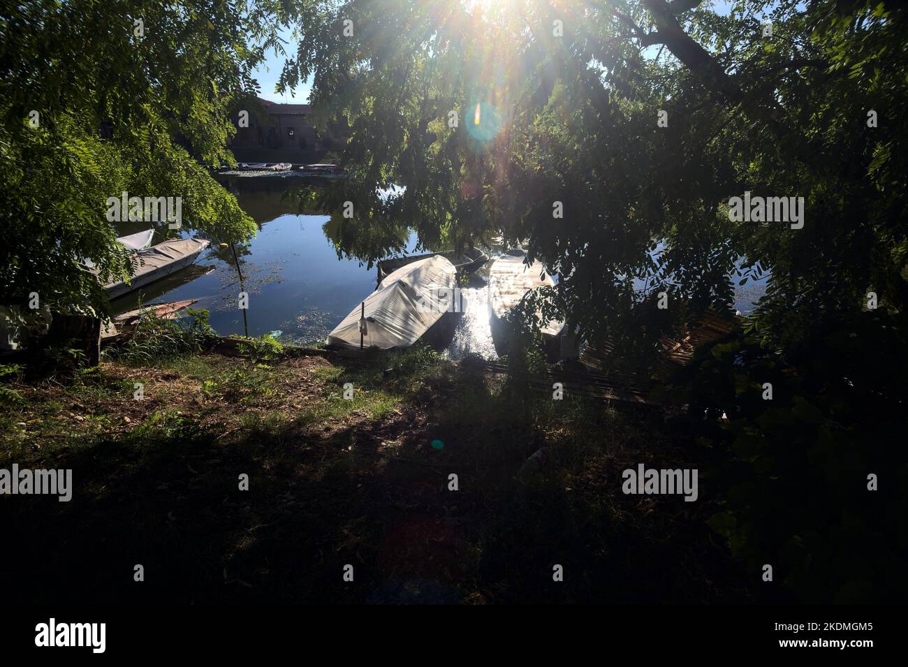 Pier in an inlet of a lake at sunset Stock Photo - Alamy