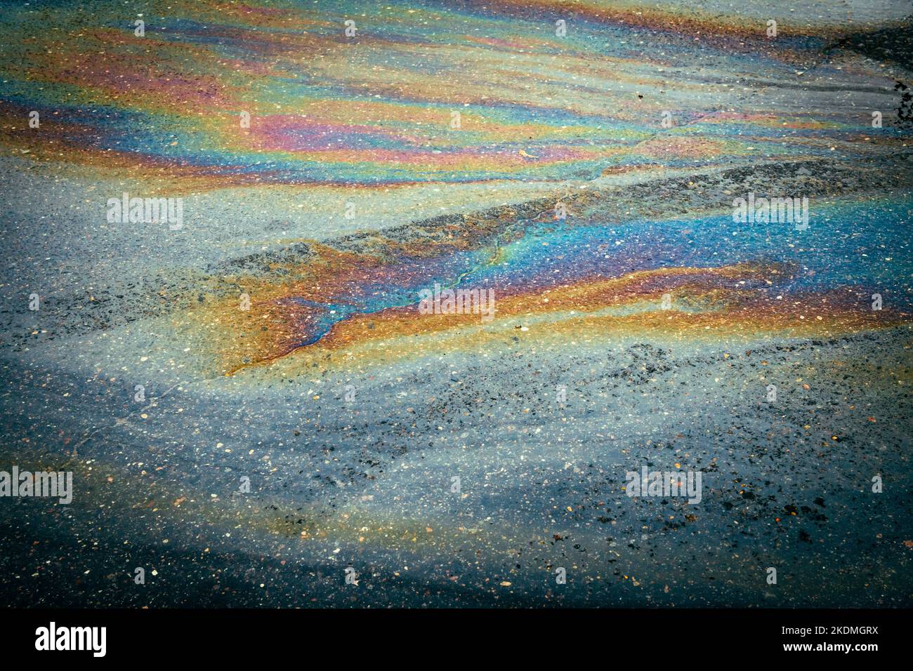 Spot the rainbow hi-res stock photography and images - Alamy