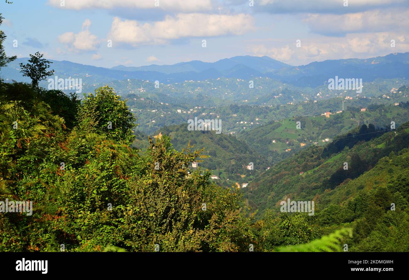 Yenihisar Village - Rize - TURKEY Stock Photo - Alamy