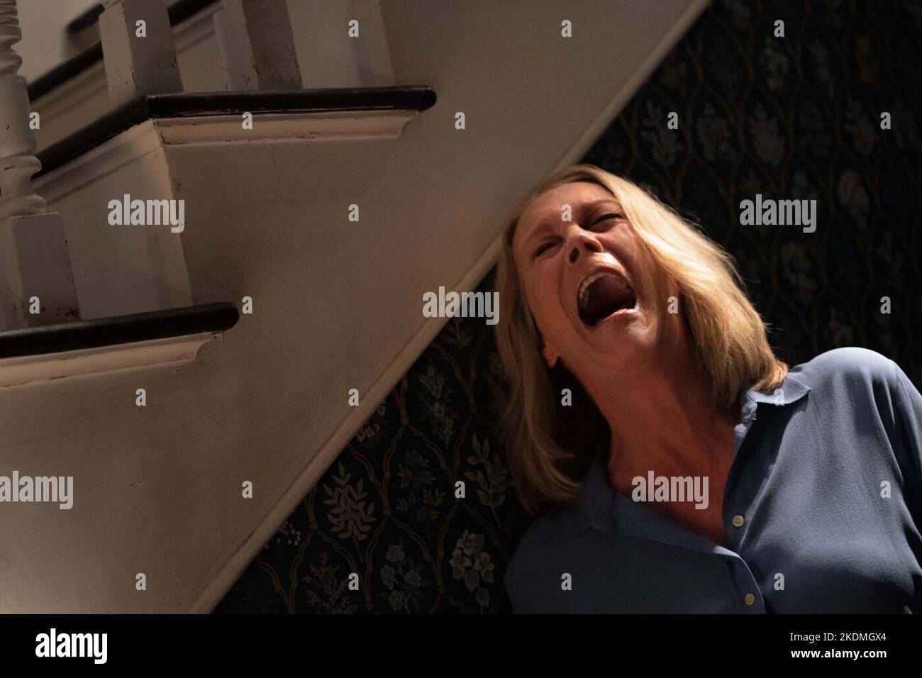 HALLOWEEN ENDS (2022) JAMIE LEE CURTIS DAVID GORDON GREEN (DIR ...