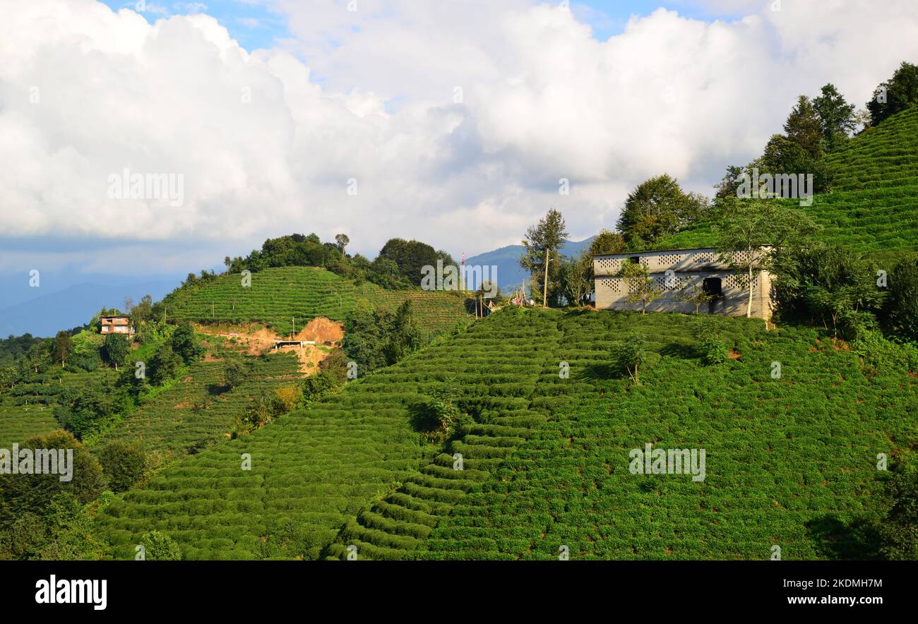 Yenihisar Village in Rize, Turkey, is connected to the town of Cayeli ...