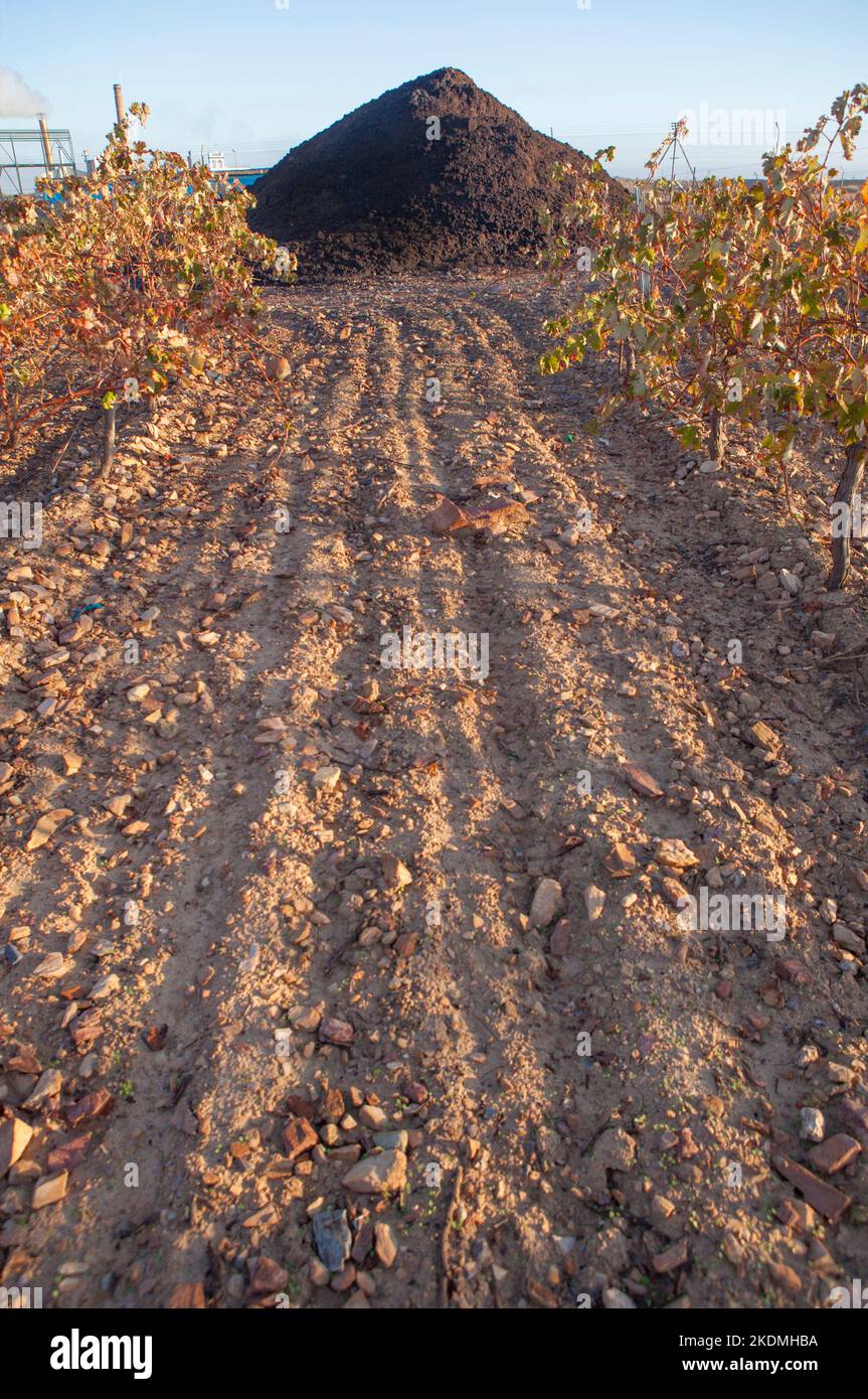 Composted olive mill pomace hi-res stock photography and images - Alamy
