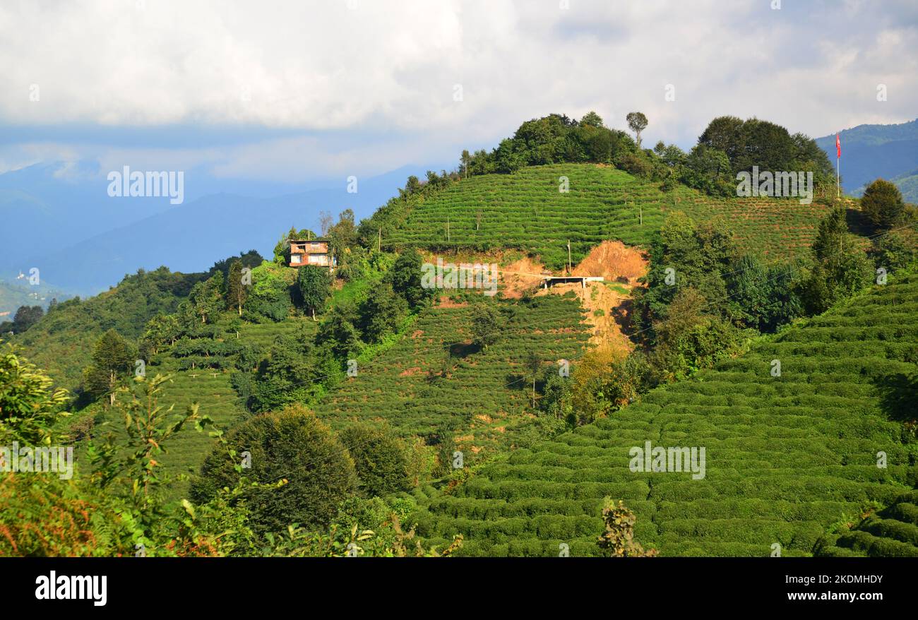 Yenihisar Village in Rize, Turkey, is connected to the town of Cayeli ...