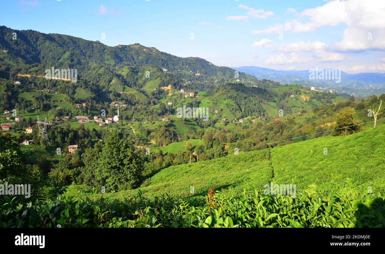 Yenihisar Village in Rize, Turkey, is connected to the town of Cayeli Stock Photo - Alamy