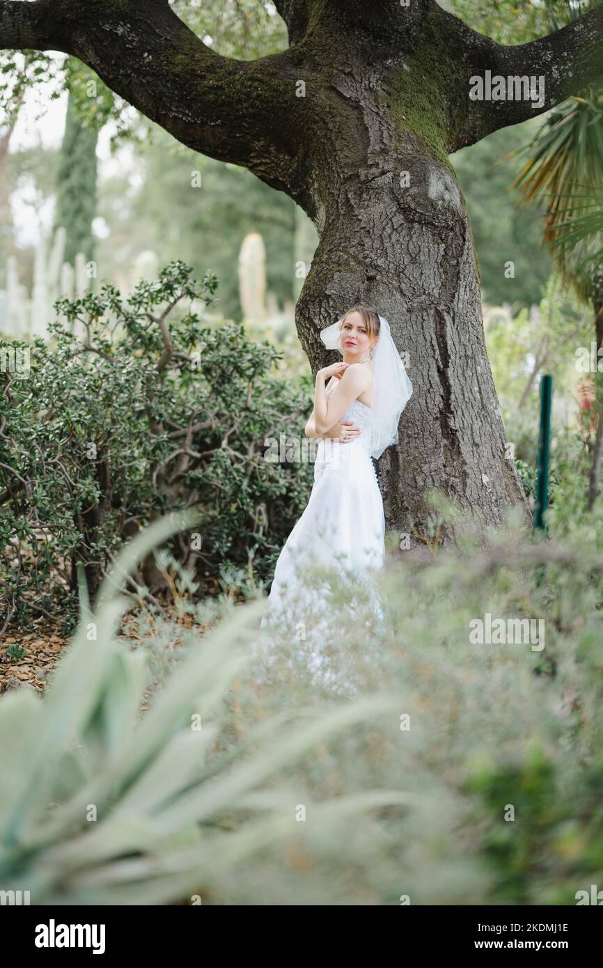 Bride Leaning Against Oak Tree in a Cactus Garden Stock Photo - Alamy