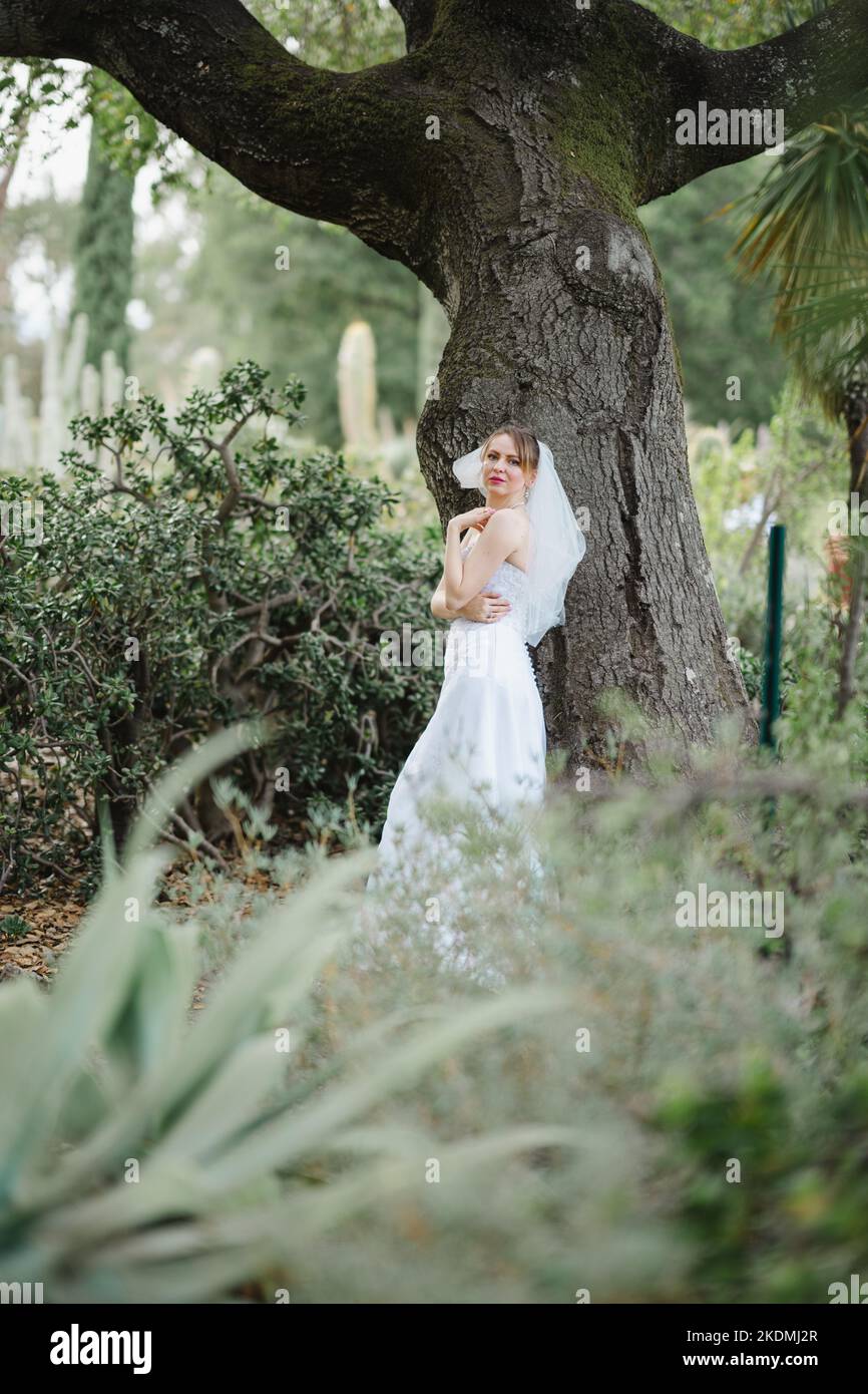 Bride Leaning Against Oak Tree in a Cactus Garden Stock Photo - Alamy