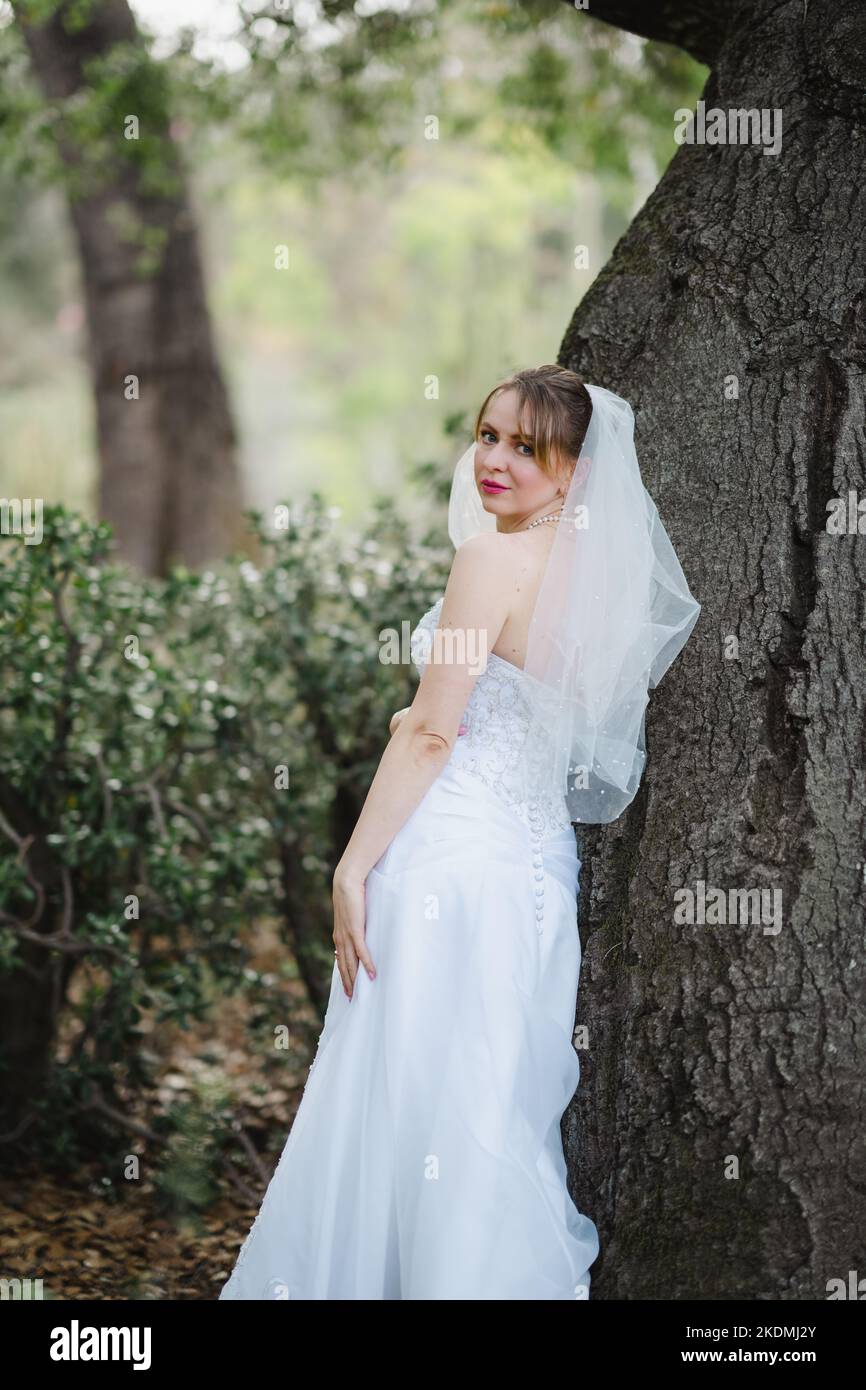 Bride Leaning Against Oak Tree in a Cactus Garden Stock Photo - Alamy