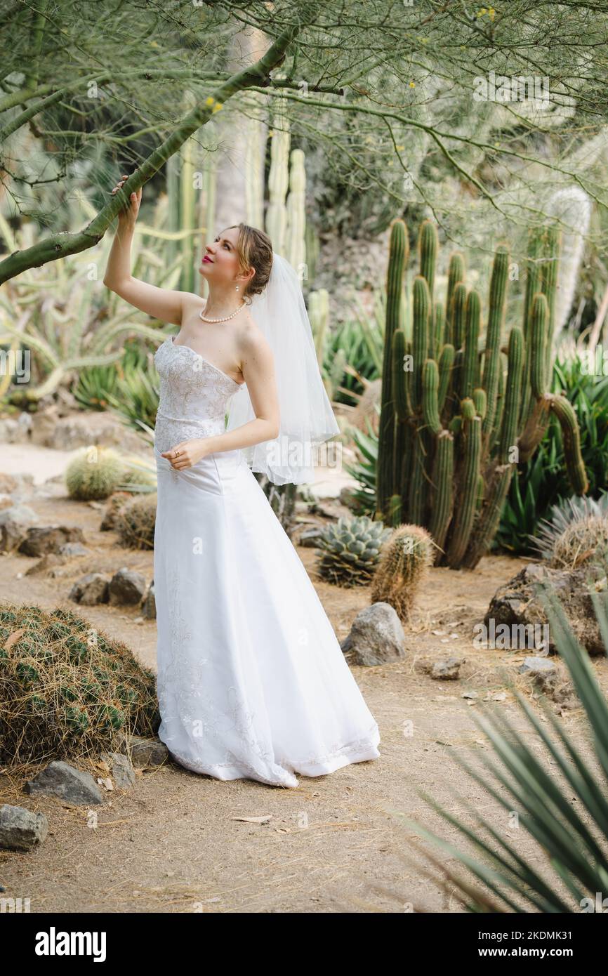 Bride Holding a Tree Branch in a Cactus Garden Stock Photo - Alamy