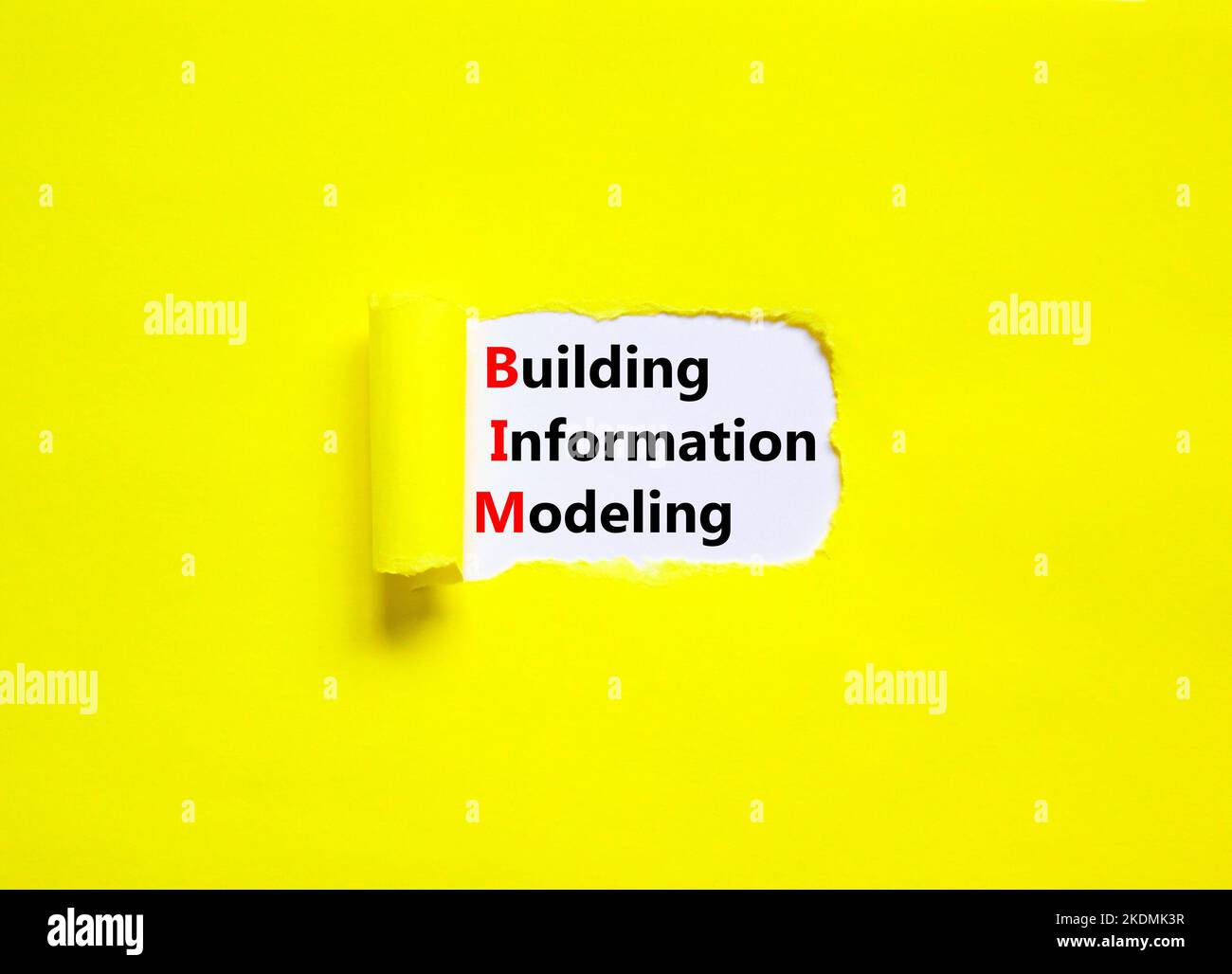 Bim Building Information Modeling Symbol Concept Words Bim Building