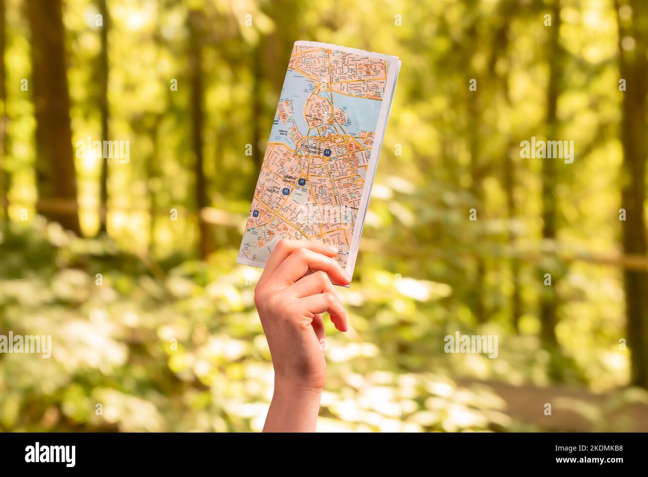 Sport orienteeing concept. Paper map, guide in hand on blurred forest ...