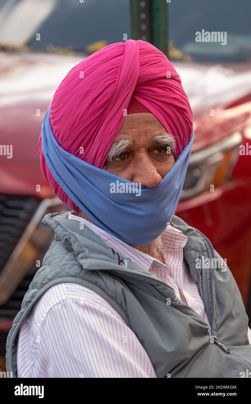 Posed portrait of an older Sikh man in a pink turban and partial mask ...