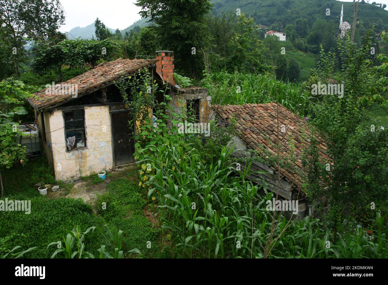 Yenihisar Village - Rize - TURKEY Stock Photo - Alamy