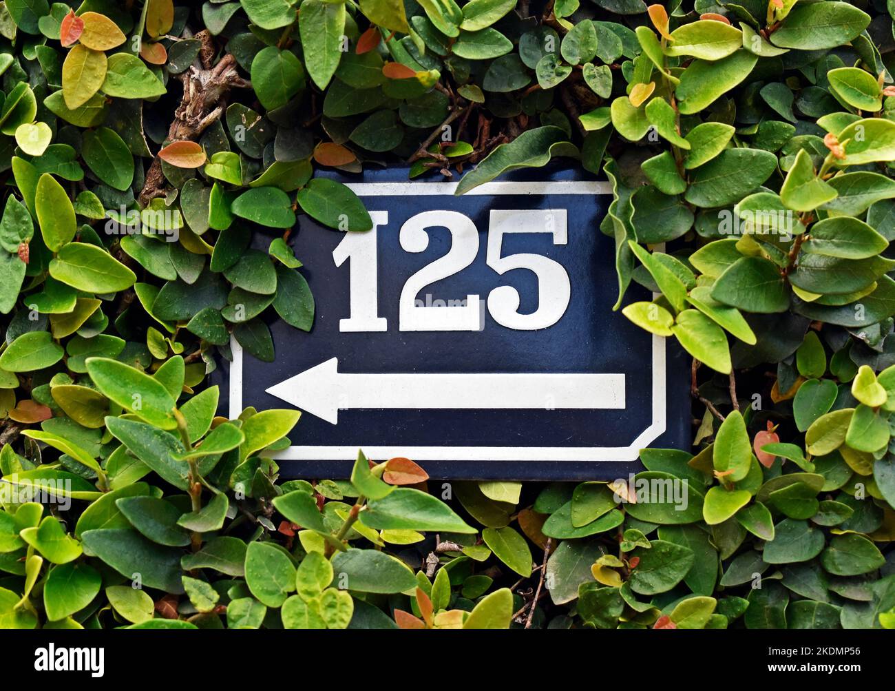 Number 125 sign hi-res stock photography and images - Alamy