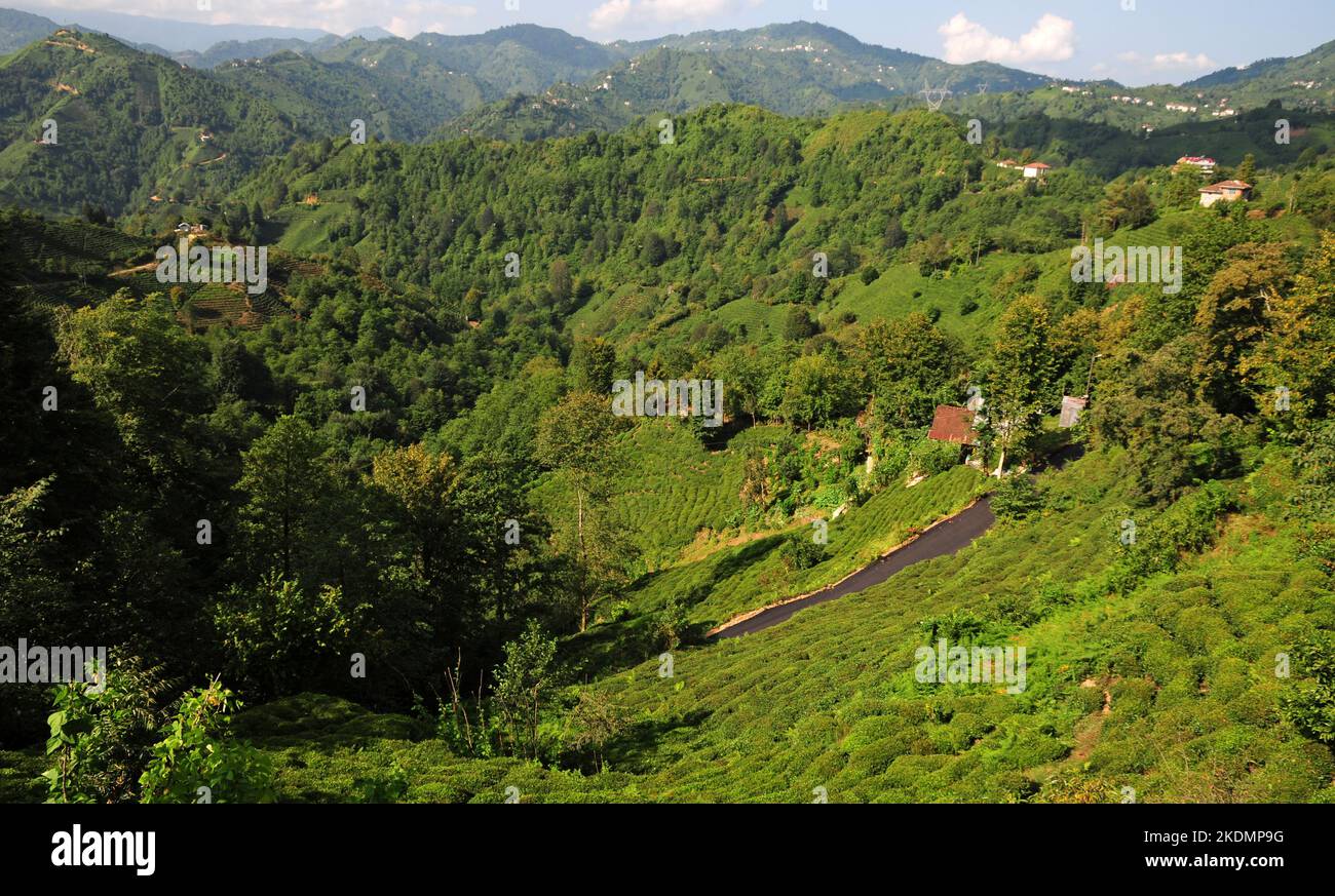 Yenihisar Village in Rize, Turkey, is connected to the town of Cayeli Stock Photo - Alamy