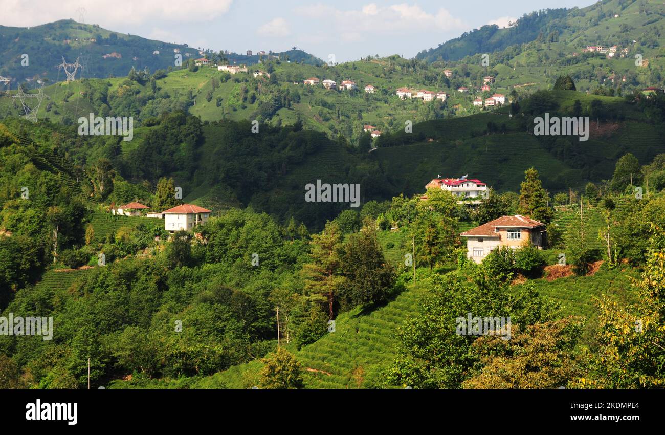 Rize cay hi-res stock photography and images - Alamy
