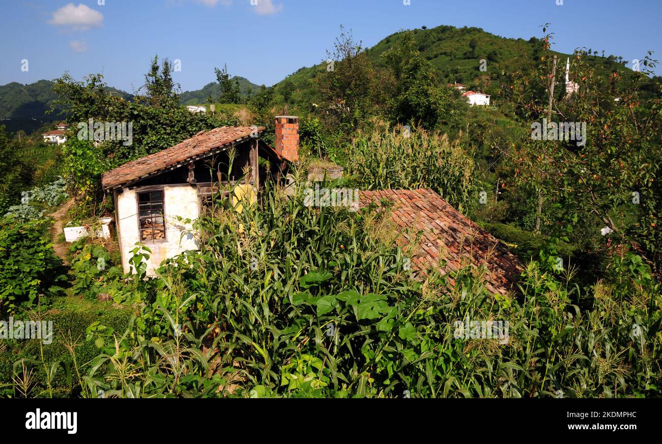Yenihisar Village in Rize, Turkey, is connected to the town of Cayeli ...