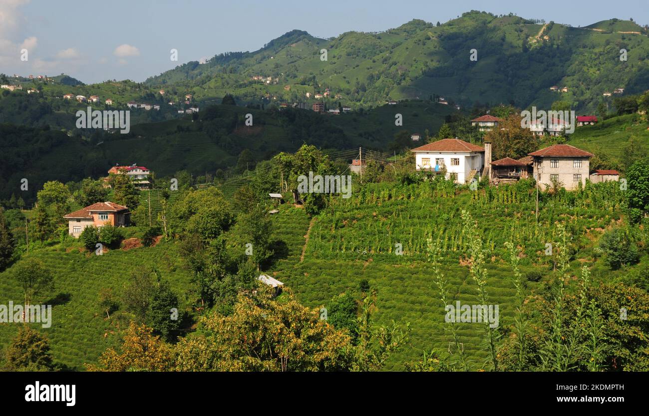Yenihisar Village in Rize, Turkey, is connected to the town of Cayeli ...