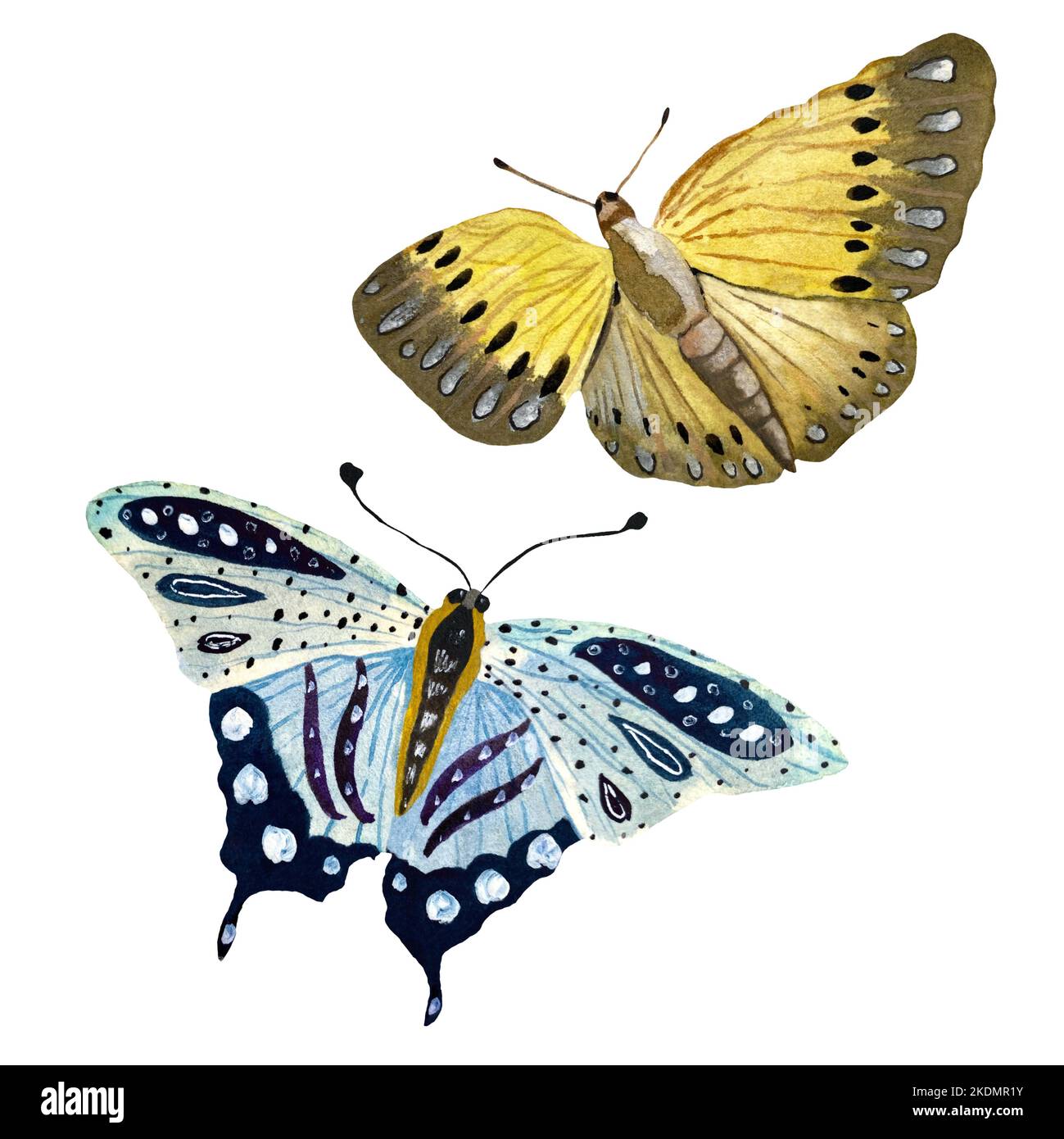 Butterfly blue yellow two a watercolor hand drawn Stock Photo - Alamy