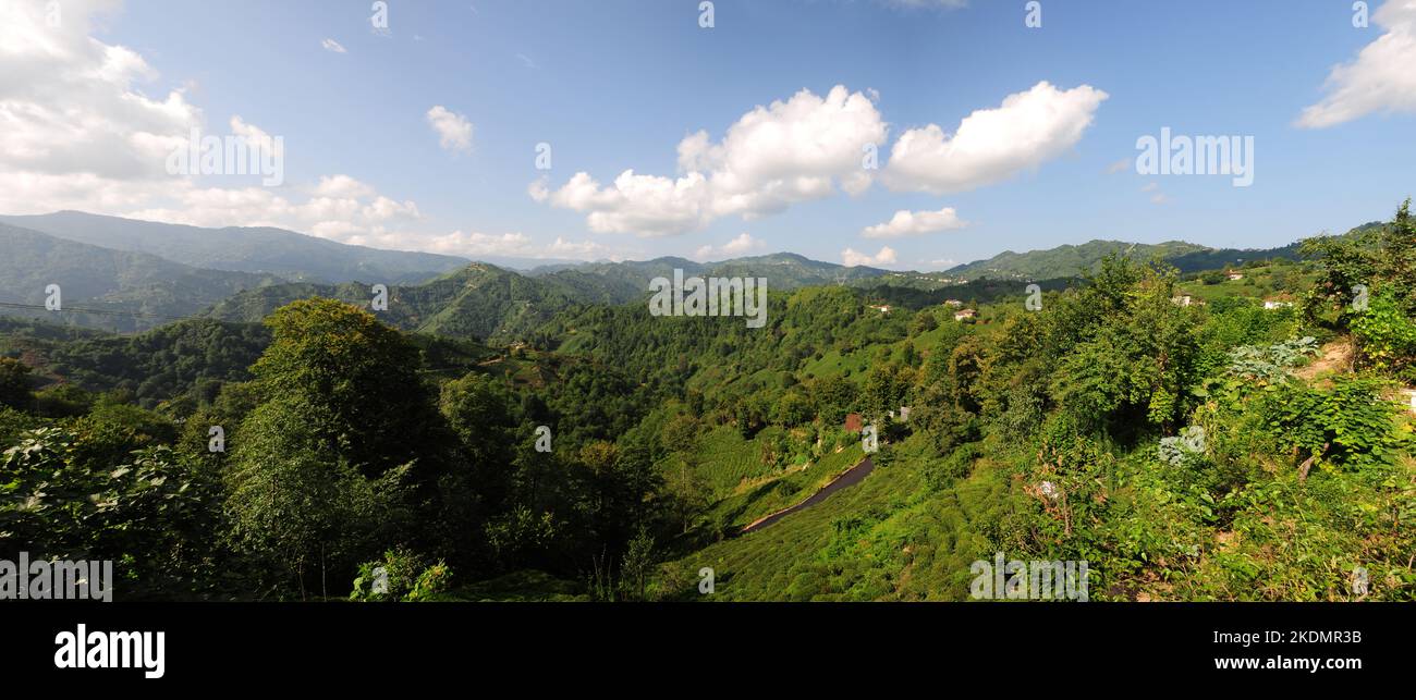 Yenihisar Village in Rize, Turkey, is connected to the town of Cayeli ...