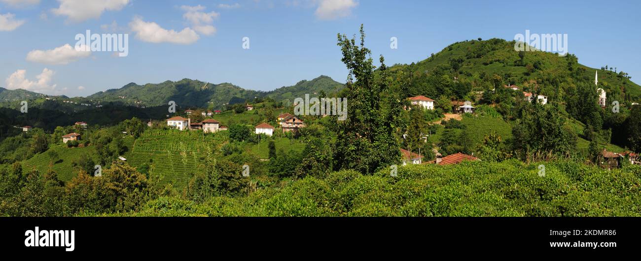 Rize cay hi-res stock photography and images - Alamy