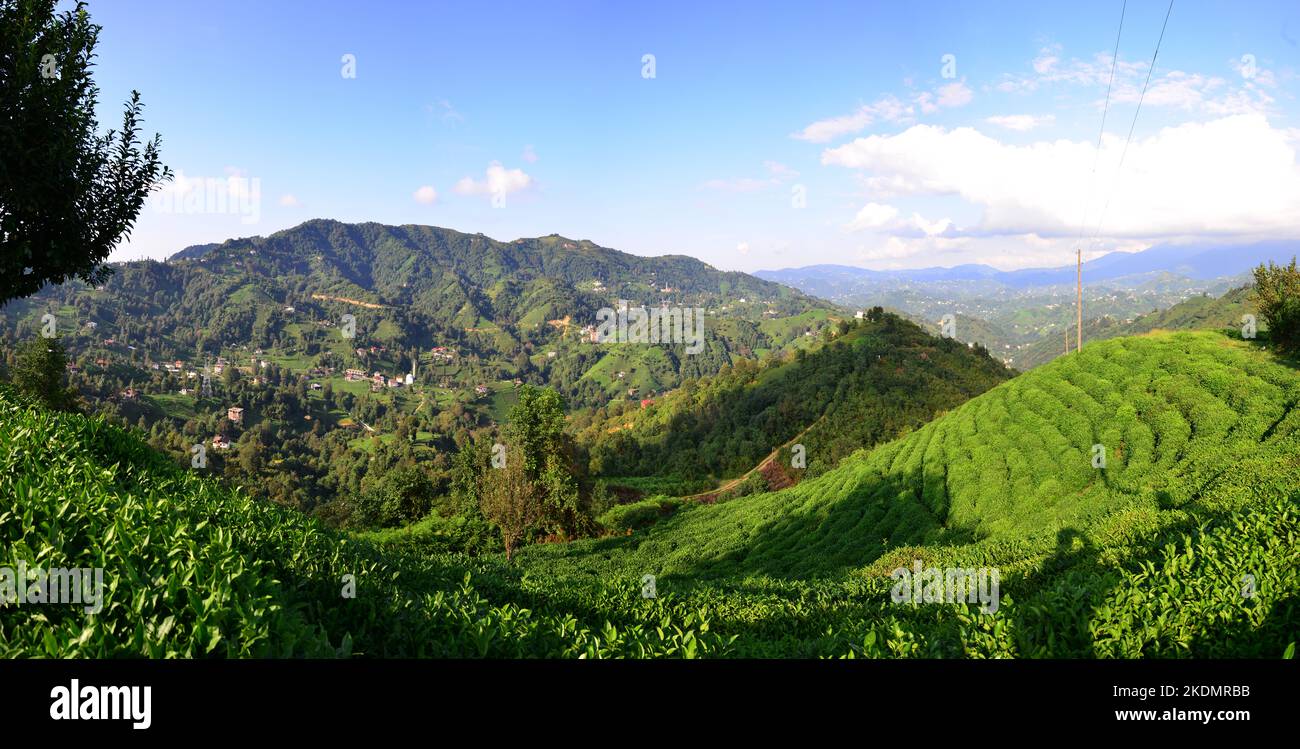 Yenihisar Village in Rize, Turkey, is connected to the town of Cayeli ...