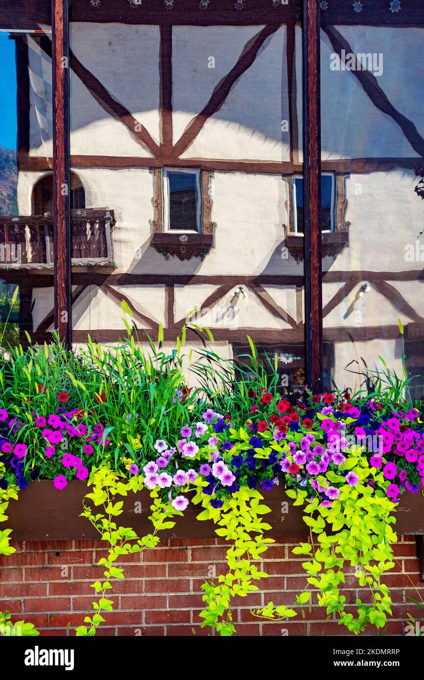 A bavarian style half-timbered building is reflected in a window behind ...