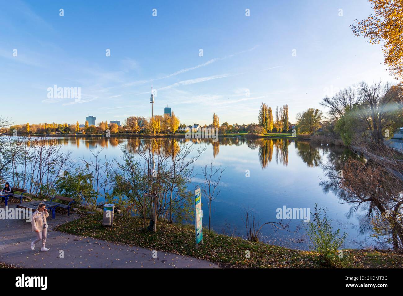 Wien, Vienna: oxbow lake Alte Donau (Old Danube), trees in autumn ...