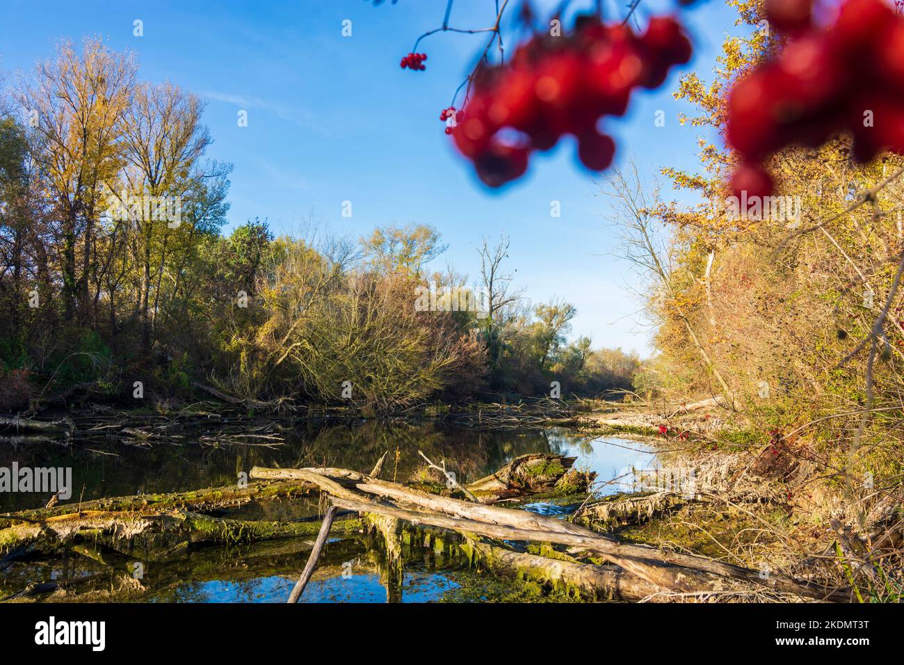 Wien, Vienna: oxbow lake of river Donau (Danube), island Donauinsel ...
