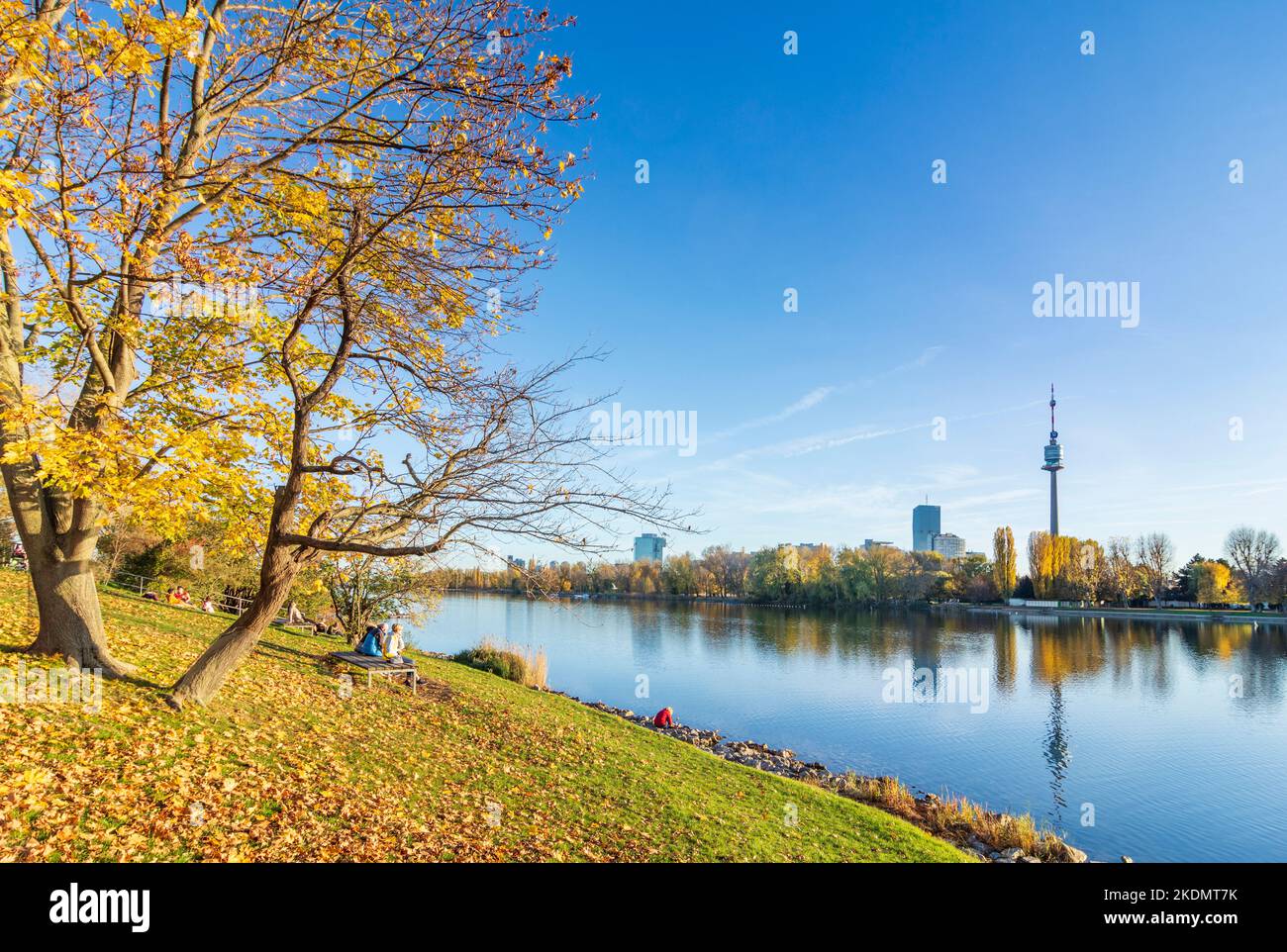 Wien, Vienna: oxbow lake Alte Donau (Old Danube), trees in autumn ...