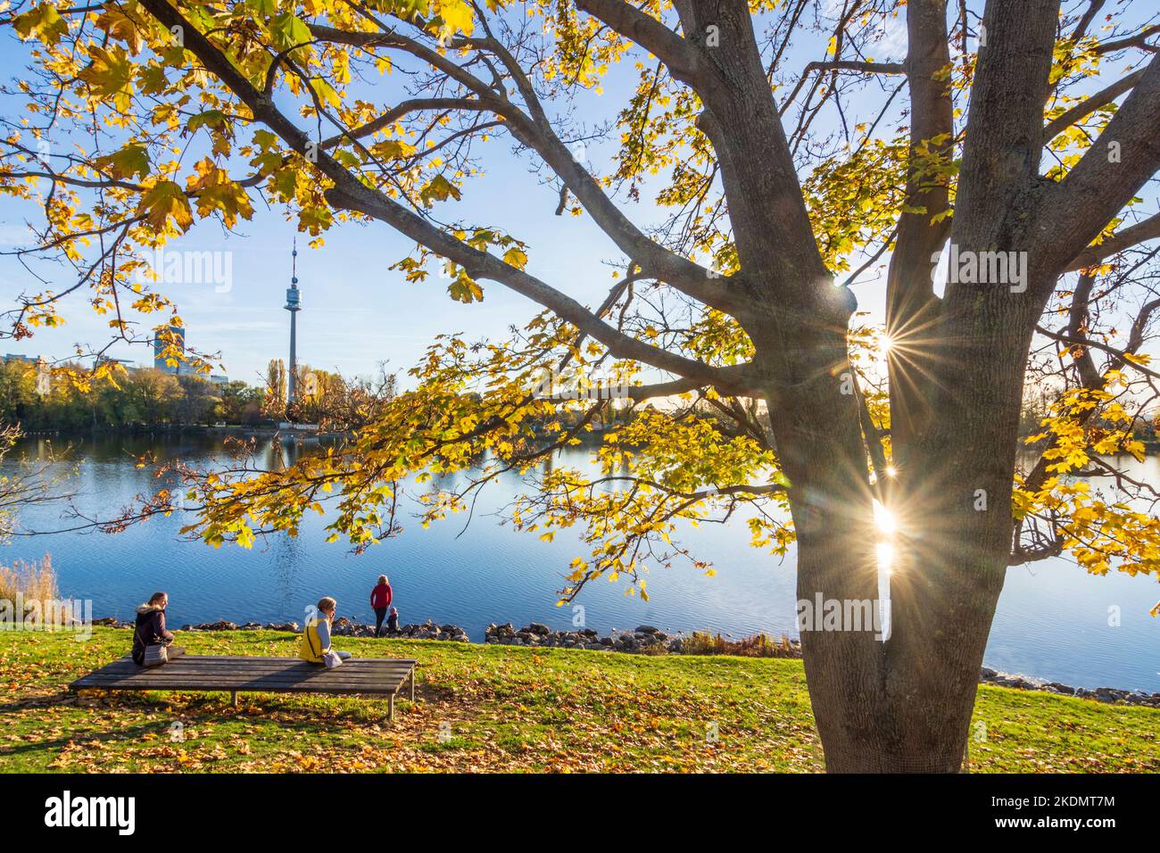 Wien, Vienna: oxbow lake Alte Donau (Old Danube), trees in autumn ...