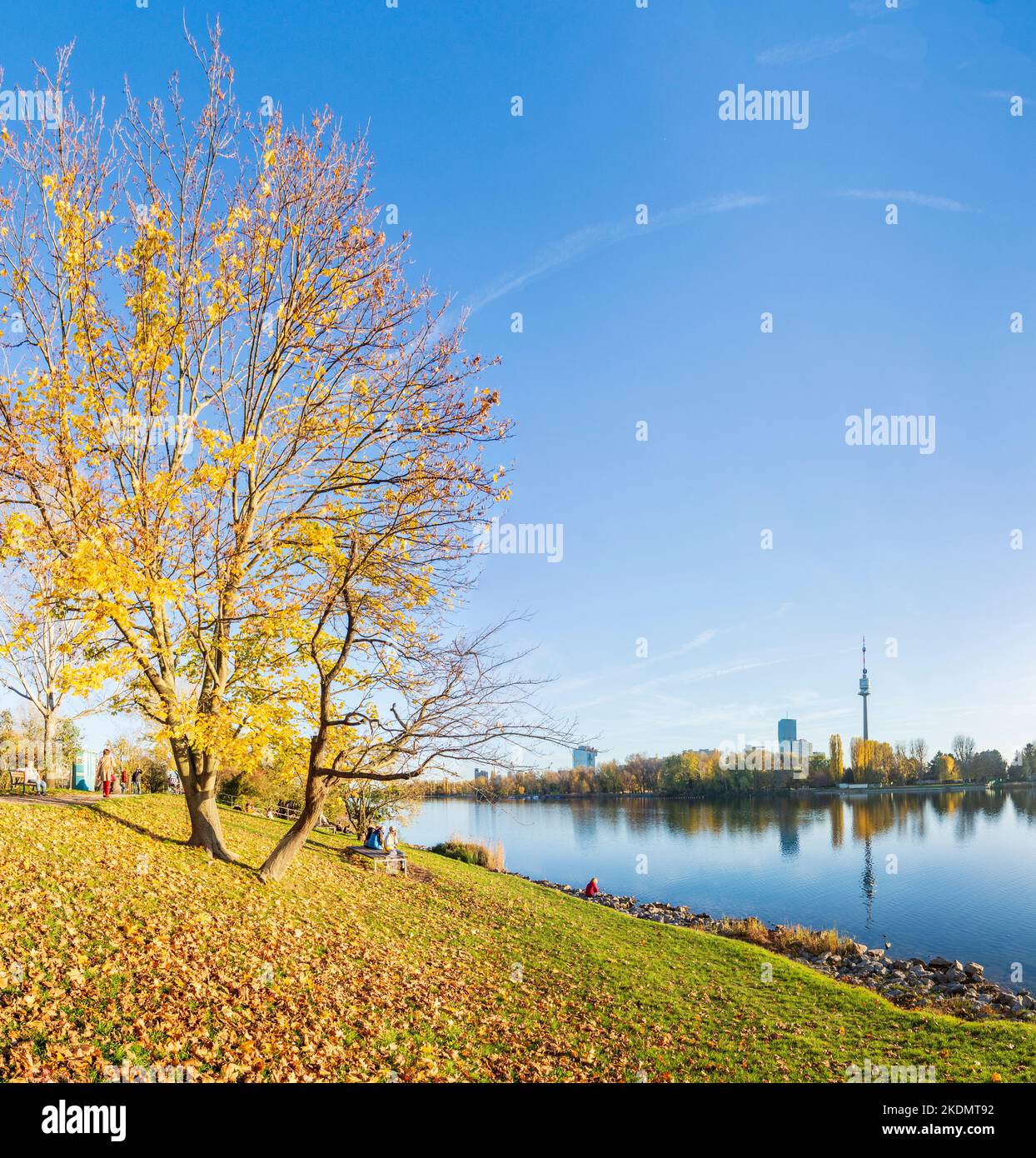 Wien, Vienna: oxbow lake Alte Donau (Old Danube), trees in autumn ...
